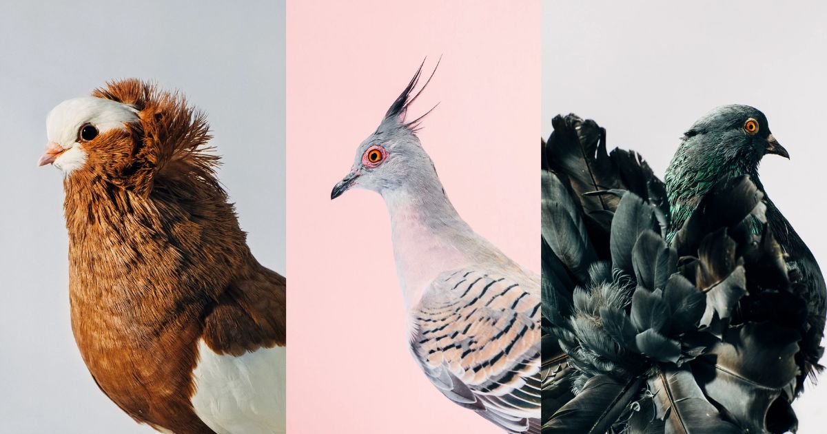 Through his photos, Brendan Burden showcases the surprisingly beautiful ...